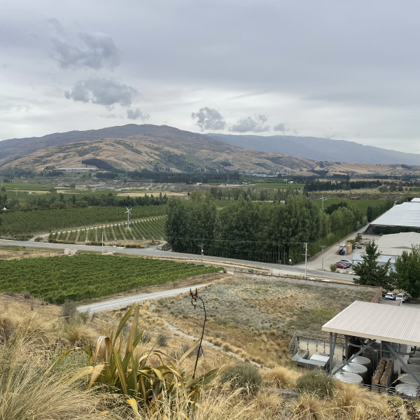 Mt Difficulty Wine Barrel Store LiveRoof Case Study