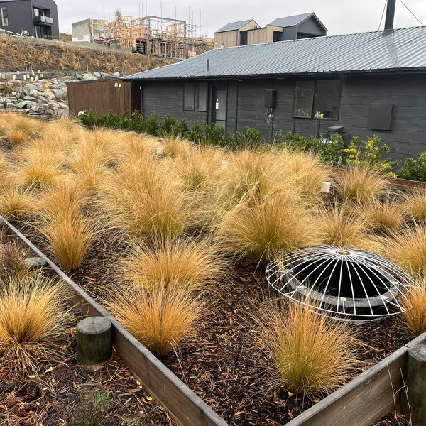 Stormwater360 | Filterra Bioscape Case Study, Station Bay NZ