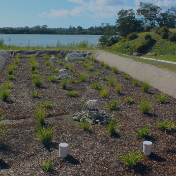 Stormwater360 webinar | Filterra® Performance Over Time