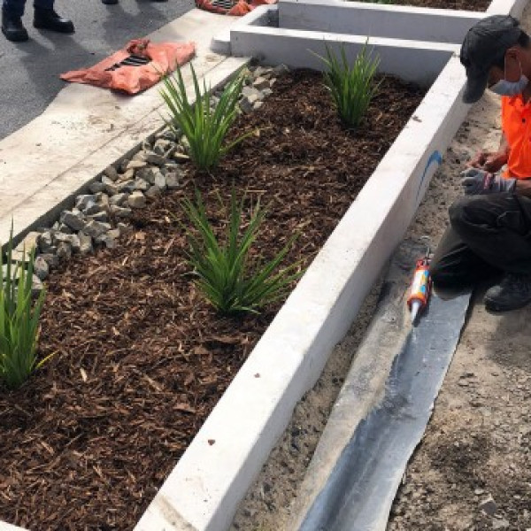 Filterra® Commissioning Site Visit | Stormwater360