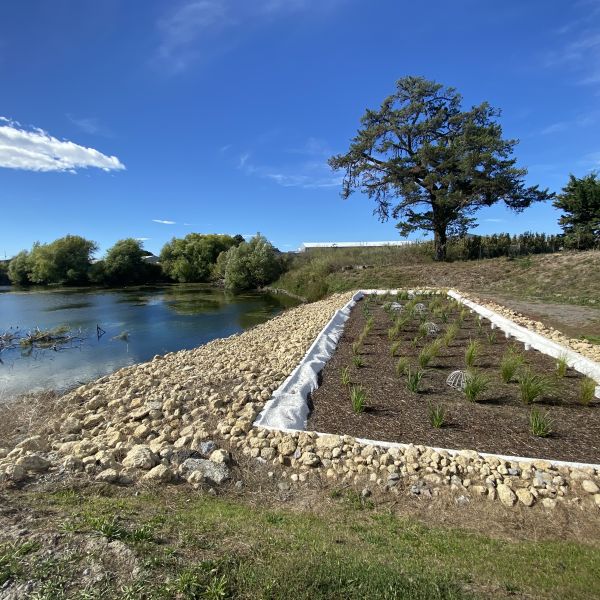 Stormwater360 | Filterra Bioscape Case Study, Lowes Pit