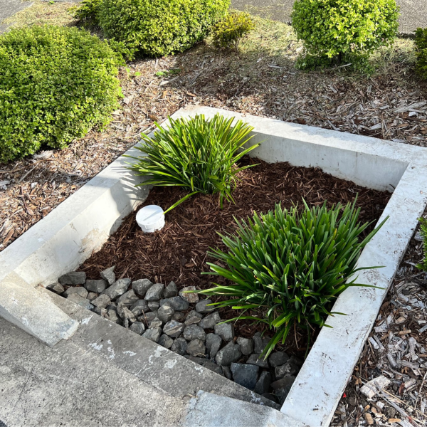 Stormwater360 | Filterra at Owairaka Auckland